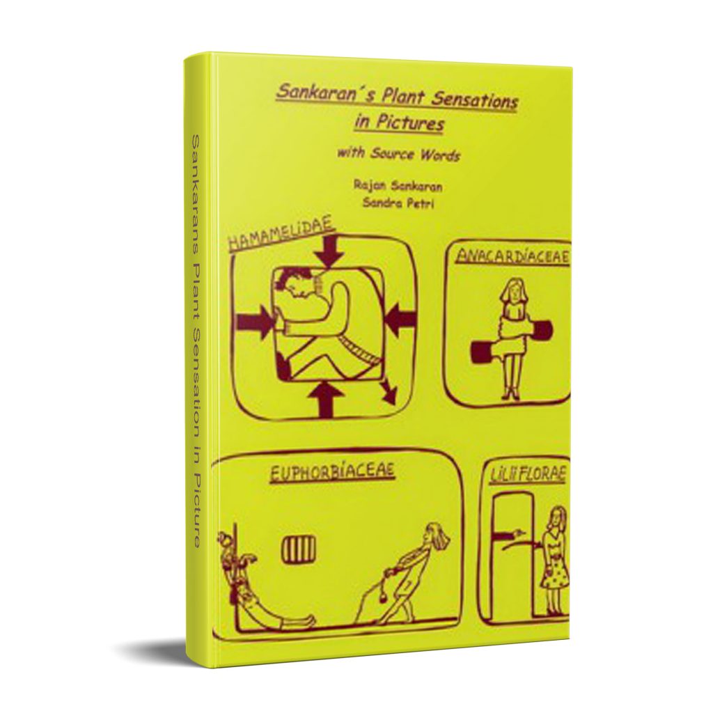 The Soul of Remedies – Rajan Sankaran